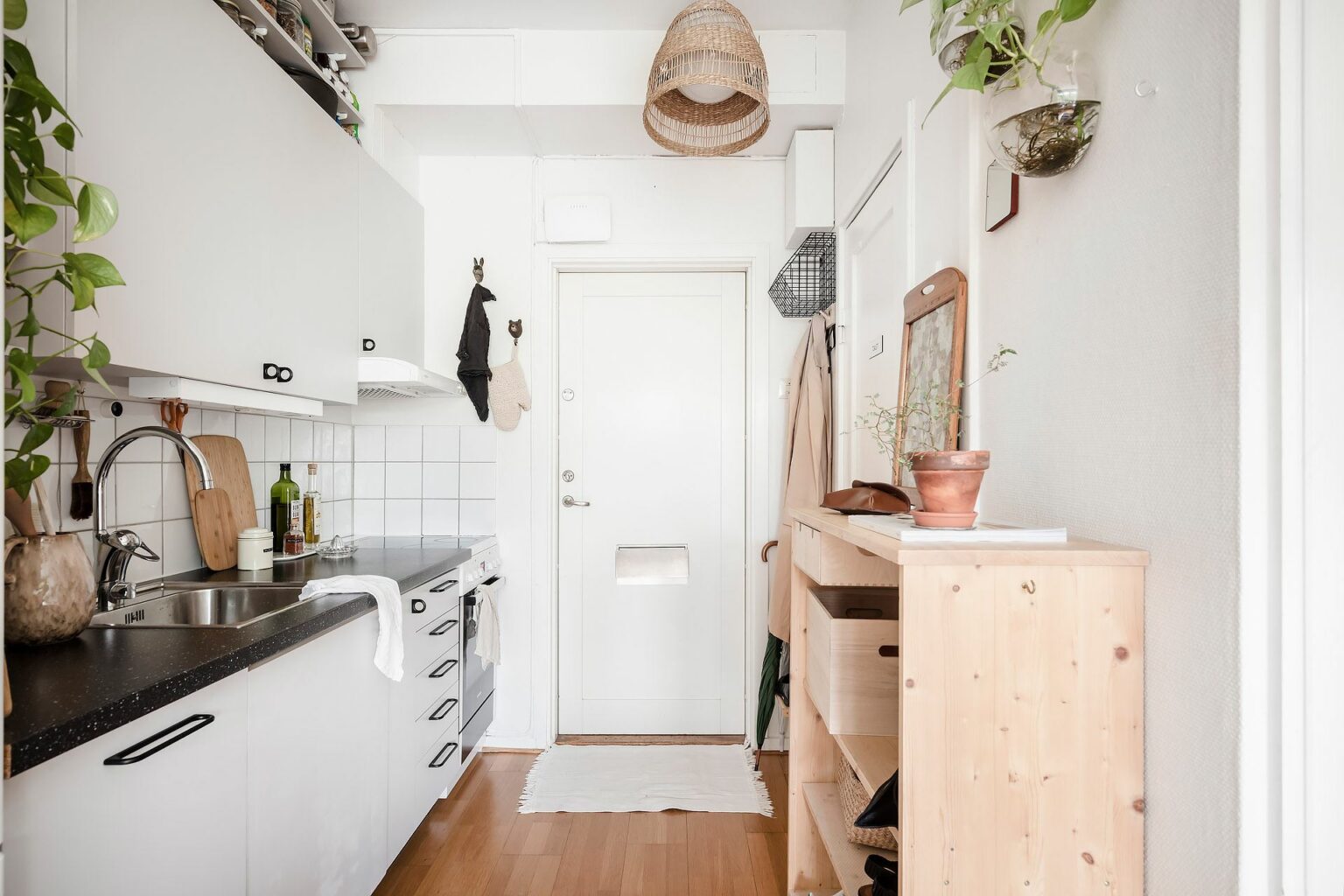 다채로운 식물들을 과감하게 활용한 아름다운 플랜테리어로 작은집꾸미기! 8평 원룸 아파트 인테리어